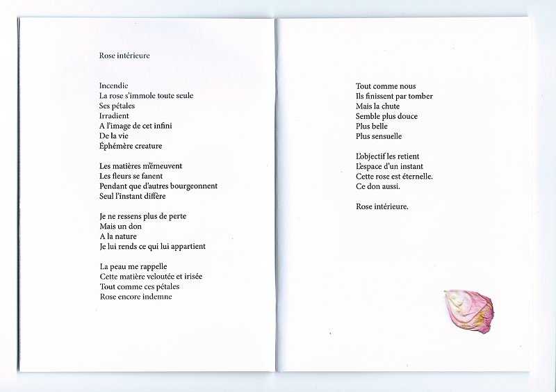 Rose intérieure poème - May Rohrer Photography